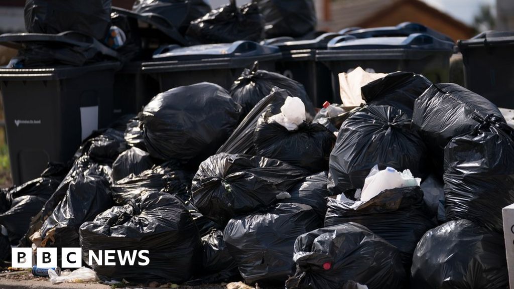 Birmingham bin strike: Labour MPs criticise council - BBC News