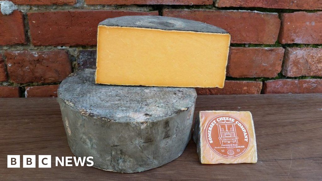 Somerset Cheese Company product recalled after listeria found - BBC News