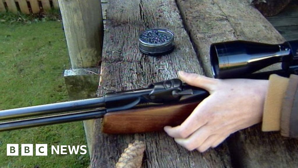 Air gun controls need tightening to stop child deaths, says MP - BBC News