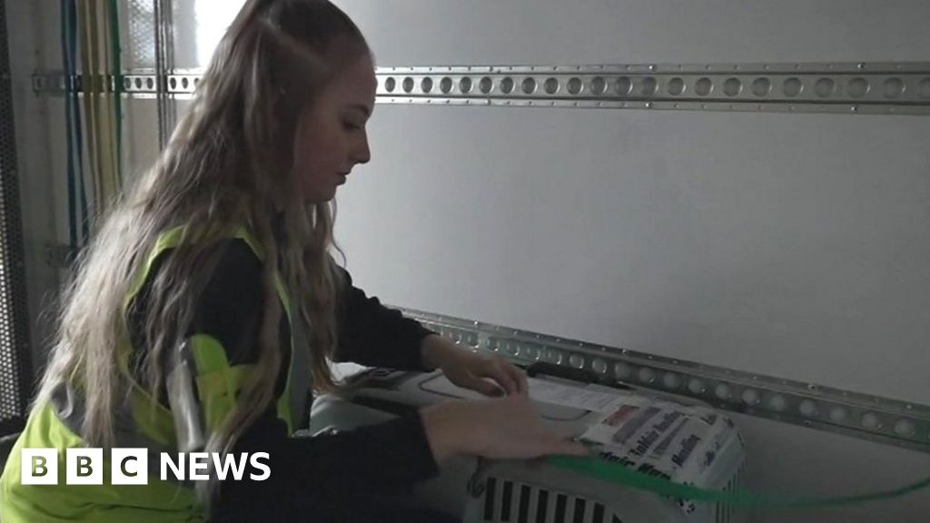 Behind the scenes with a Heathrow animal handler - BBC News