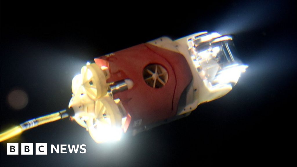 'Little sunfish' robot to swim in to Fukushima reactor