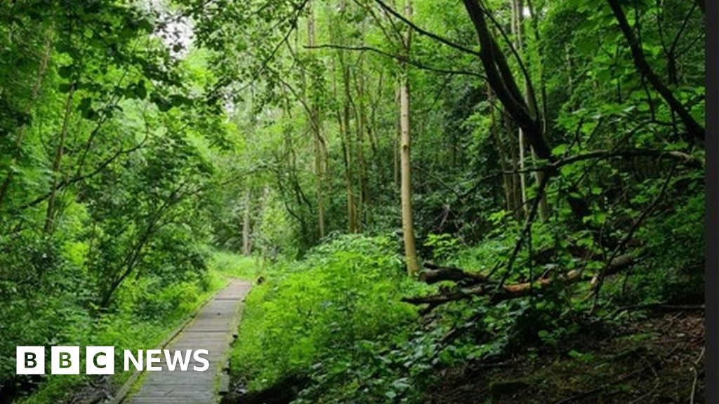 Manchester: Broadhurst Park to become city's tenth nature reserve