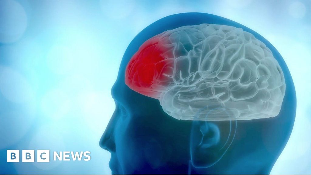 How pollution gets into the brain - BBC News