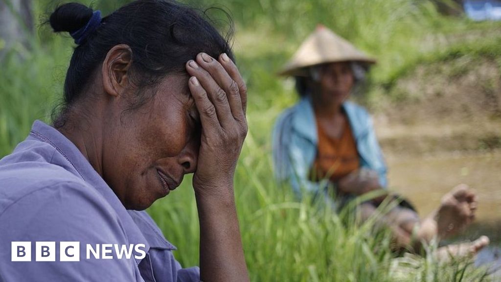 Indonesia's growth in 2015 slows for fifth consecutive year - BBC News