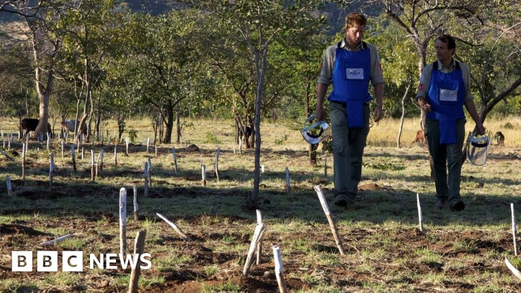 The Halo Trust celebrates 'mine-free' Mozambique - BBC News