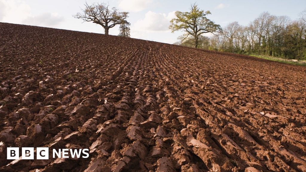 Scotland's passionate politics of soil - BBC News