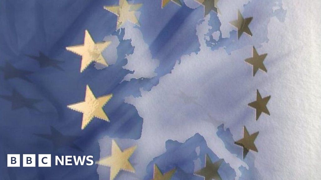 The top European stories to look out for in 2017 - BBC News