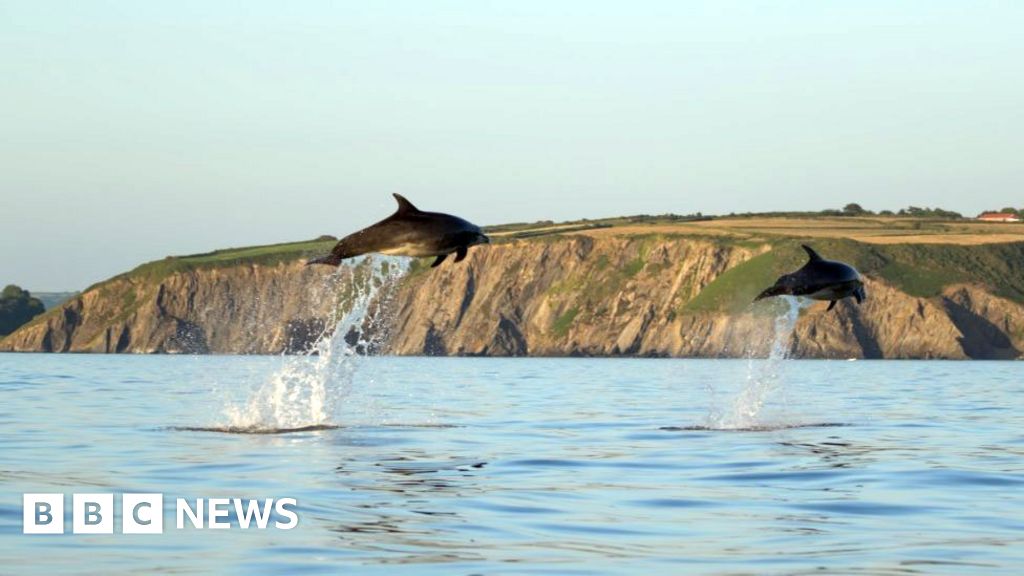 Your Pictures in sunny Wales: 27 June -3 July 2018 - BBC News