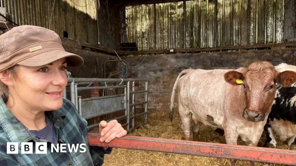 NI agriculture: 'I just totally fell in love with the family farm ...