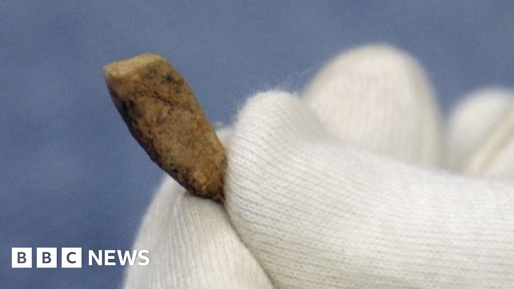Ancient tooth found in French cave - BBC News