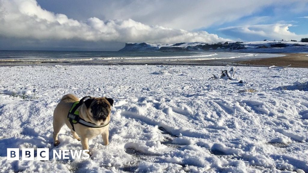 Wintry weather comes to Northern Ireland - in pictures - BBC News