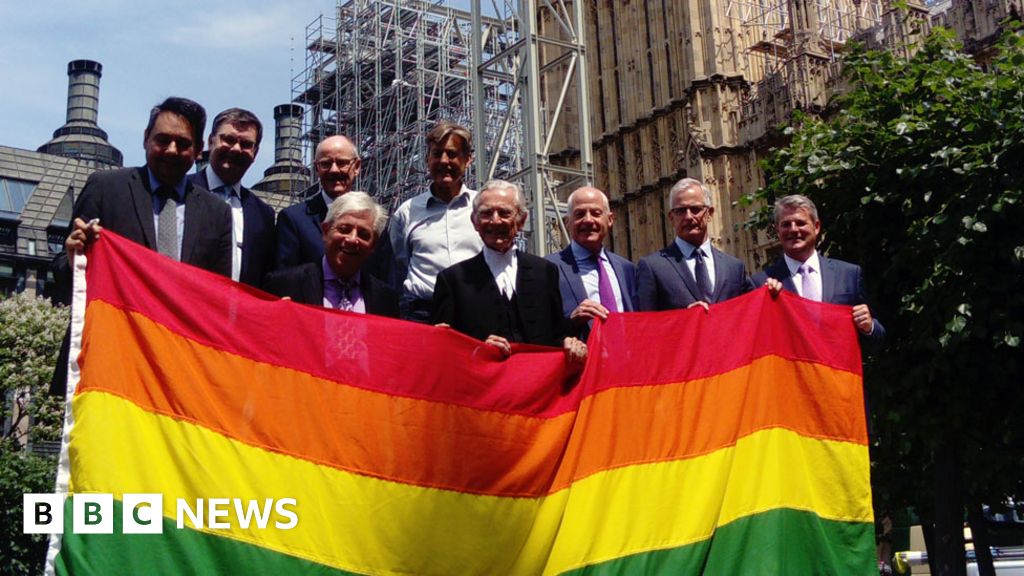 Parliament takes pride in role in gay rights struggles - BBC News