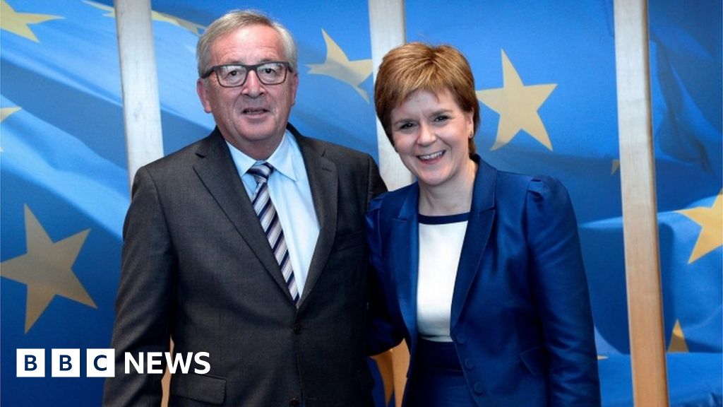 Scotland, Ireland and Brexit: differences between differences