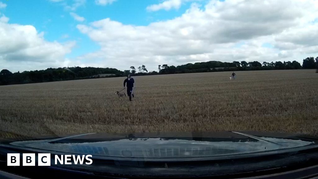 Hare coursing suspects caught on camera in Six Mile Bottom field