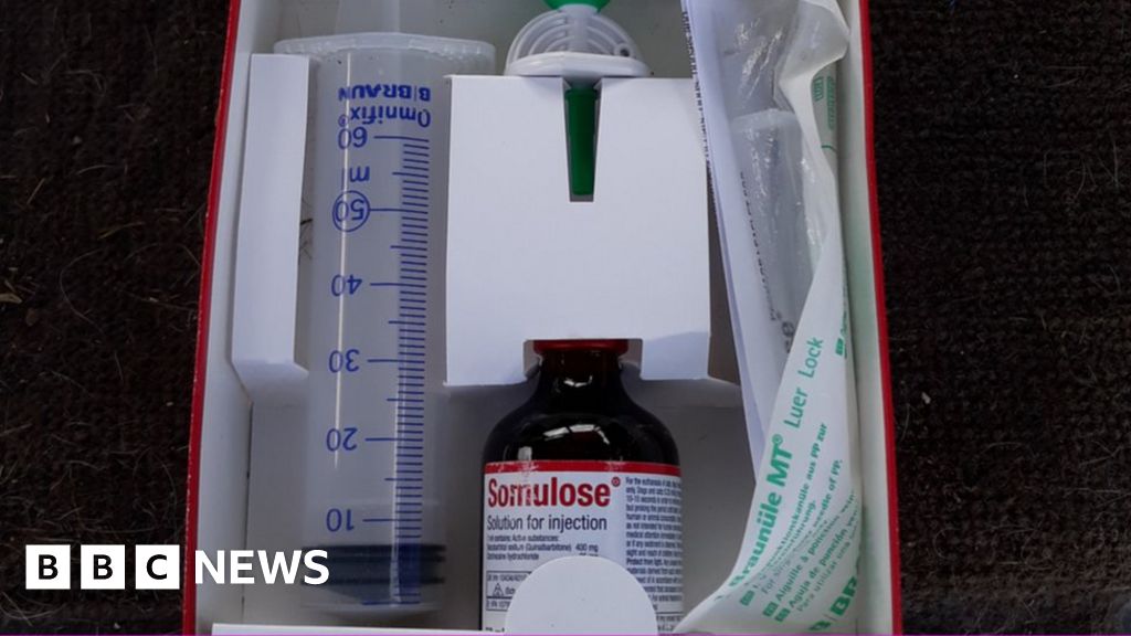 Warning over missing large animal euthanasia kit - BBC News