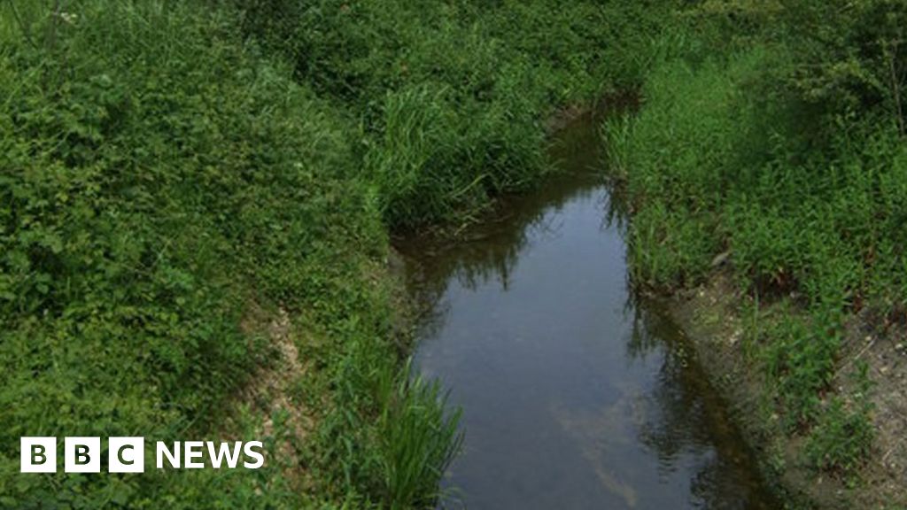 Anglian Water billed £150k for river pollution in Bedfordshire - BBC News