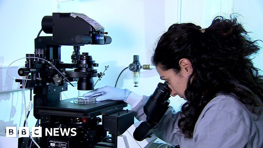 Scientists in UK get approval for 'gene editing' - BBC News