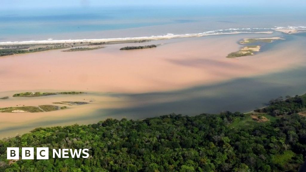 Brazil dam breach: Toxic mud 'devastated vegetation' - BBC News