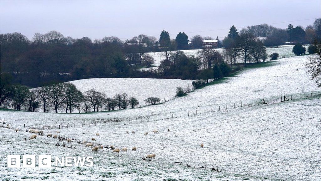 In pictures: Snow falls across the South East - BBC News