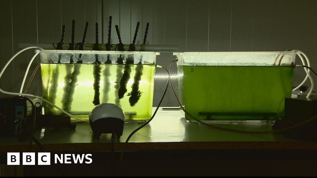 New research into recovering phosphorus from sewage