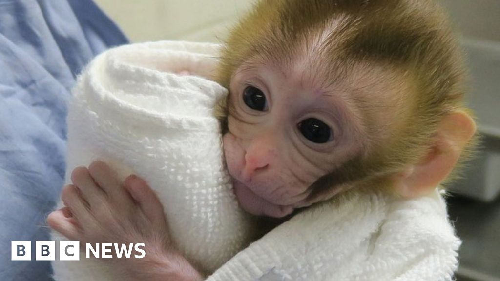 'Baby Grady' gives fertility hope to boys with cancer - BBC News