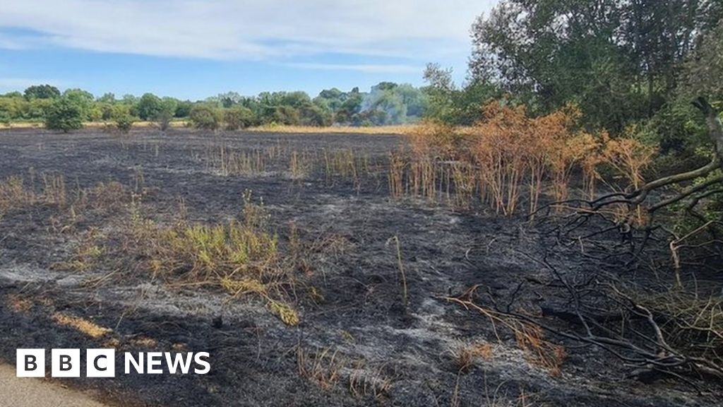 Firefighters tackle large grassland blaze in Northampton - BBC News