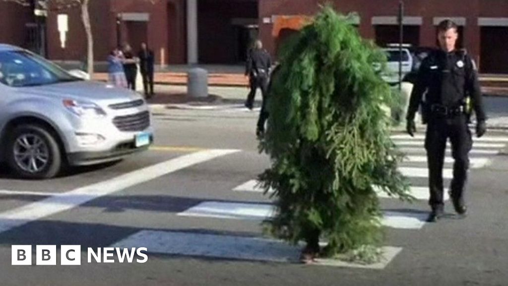 Man arrested for blocking traffic dressed as a tree - BBC News