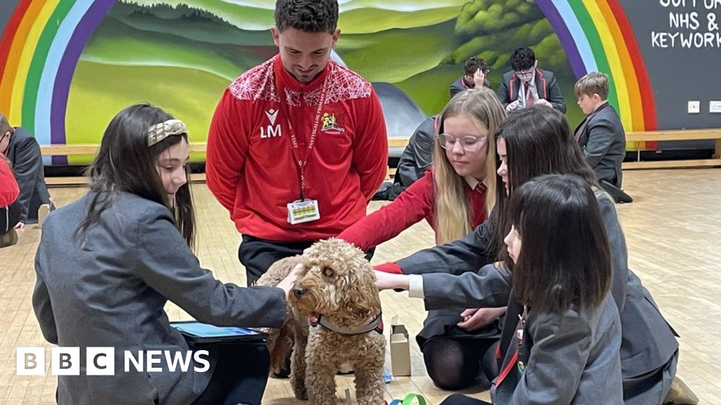 Covid: Merthyr school's dog stars in pupil happiness app - BBC News