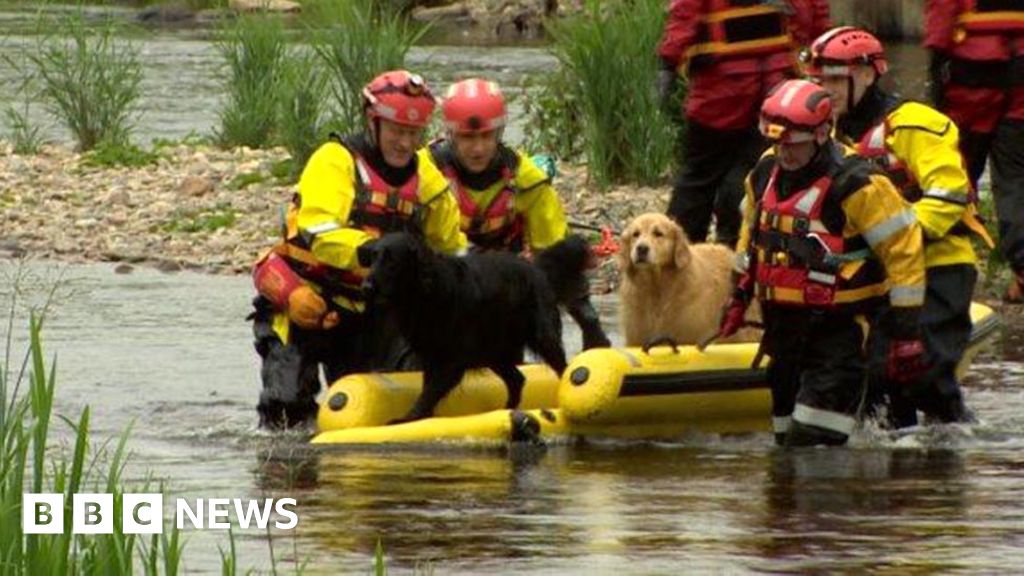 Man and dogs rescued after River Don operation at Inverurie - BBC News