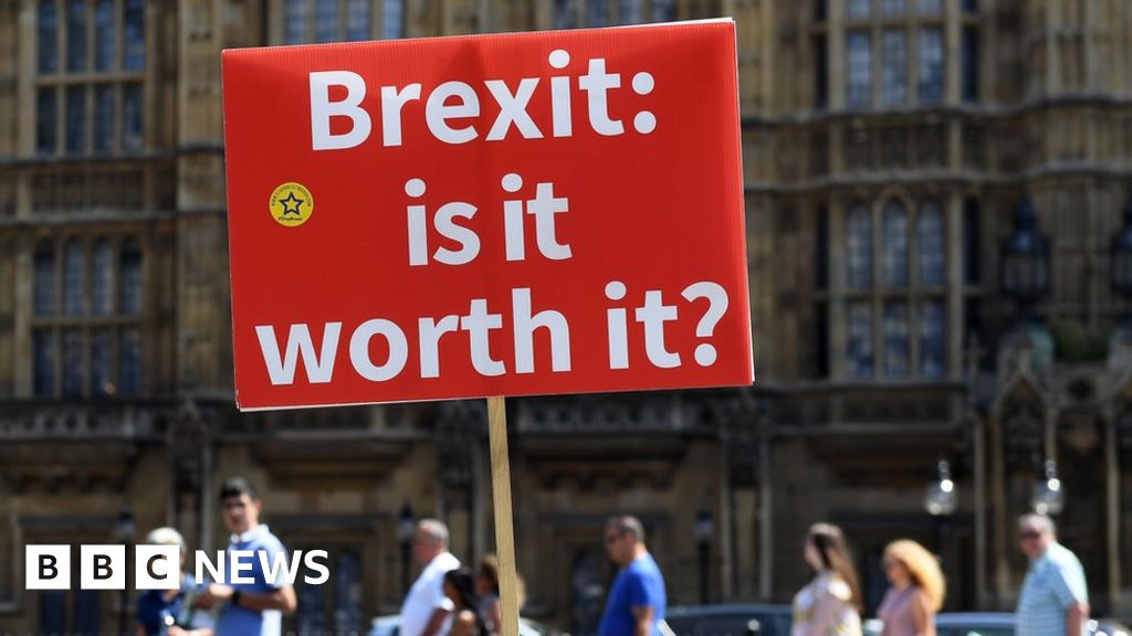 What is the government's plan for Brexit? - BBC News