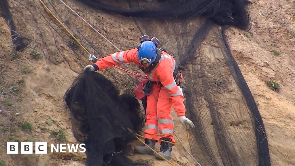 Chris Packham says Bacton sand martin nest site should be prioritised ...