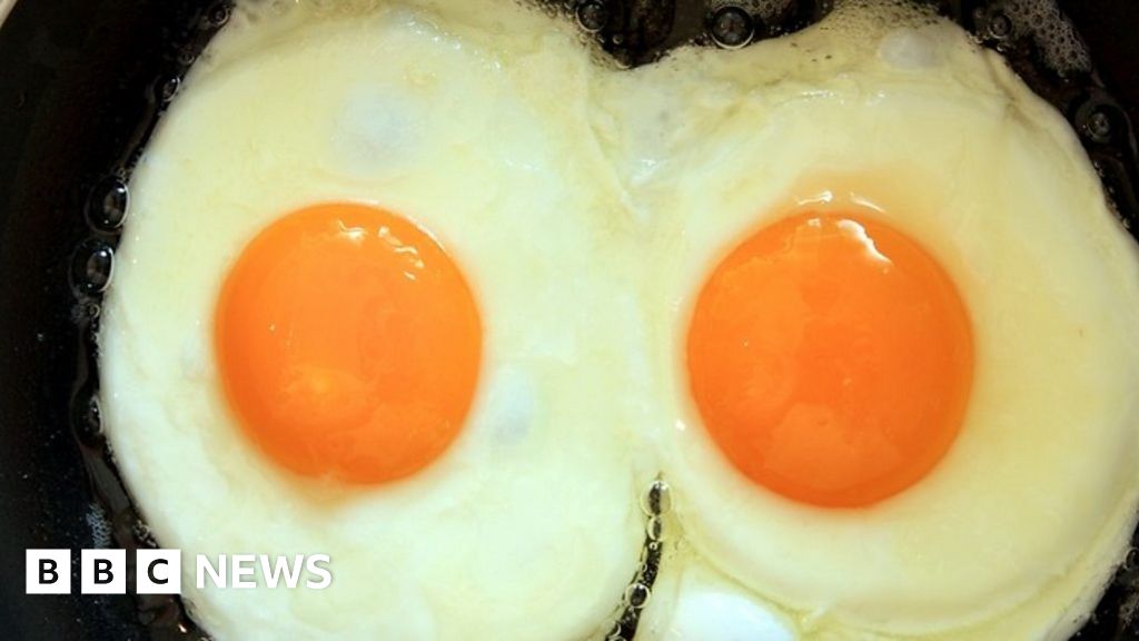 Fat: Friend or foe? - BBC News