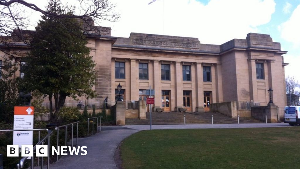 Coronavirus: Museums could 'fall by the wayside'