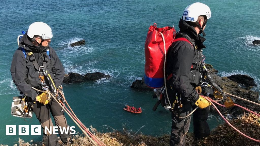 Sixty-five Pembrokeshire sheep rescued in 10 days - BBC News
