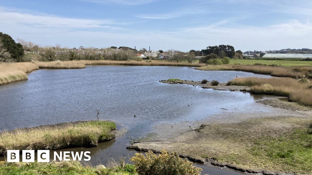 Guernsey drinking water concerns over rising pesticide use - BBC News