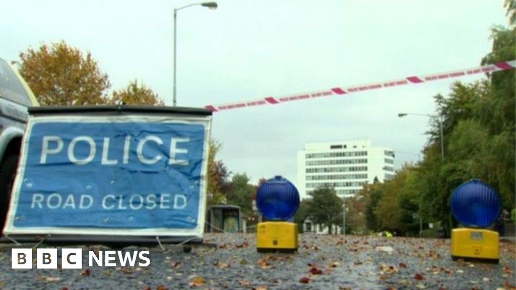 Enda Dolan: Man admits causing death of student by dangerous driving - BBC News