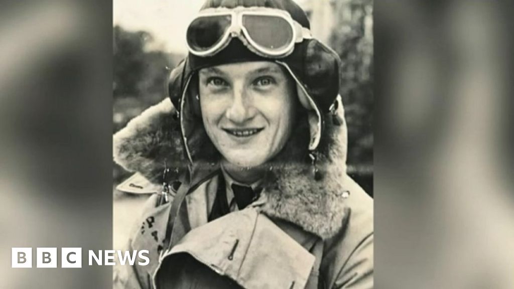 WW2 pilot and social media star Sydney Stevens dies aged 98 - BBC News