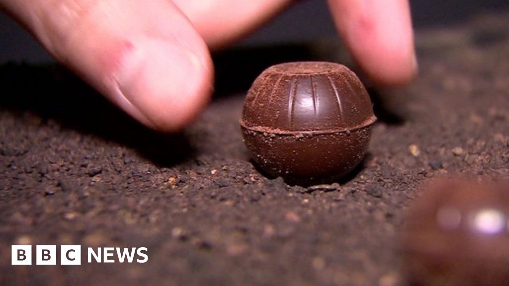 Taste Smell And Feel Artwork At Tate Sensorium BBC News taste-smell-and-feel-artwork-at-tate-sensorium-bbc-news