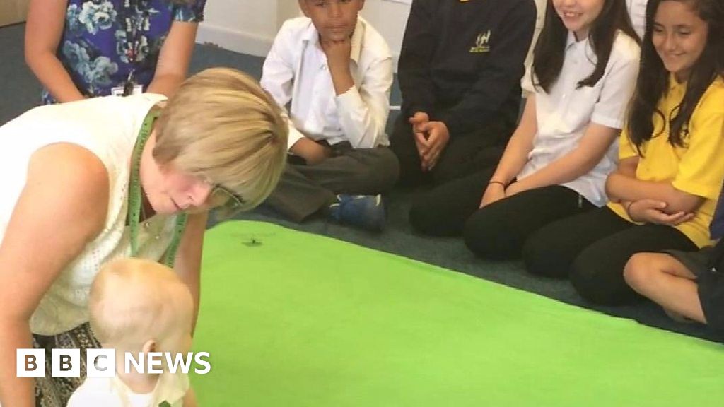 Babies join primary school lessons to help teach empathy - BBC News