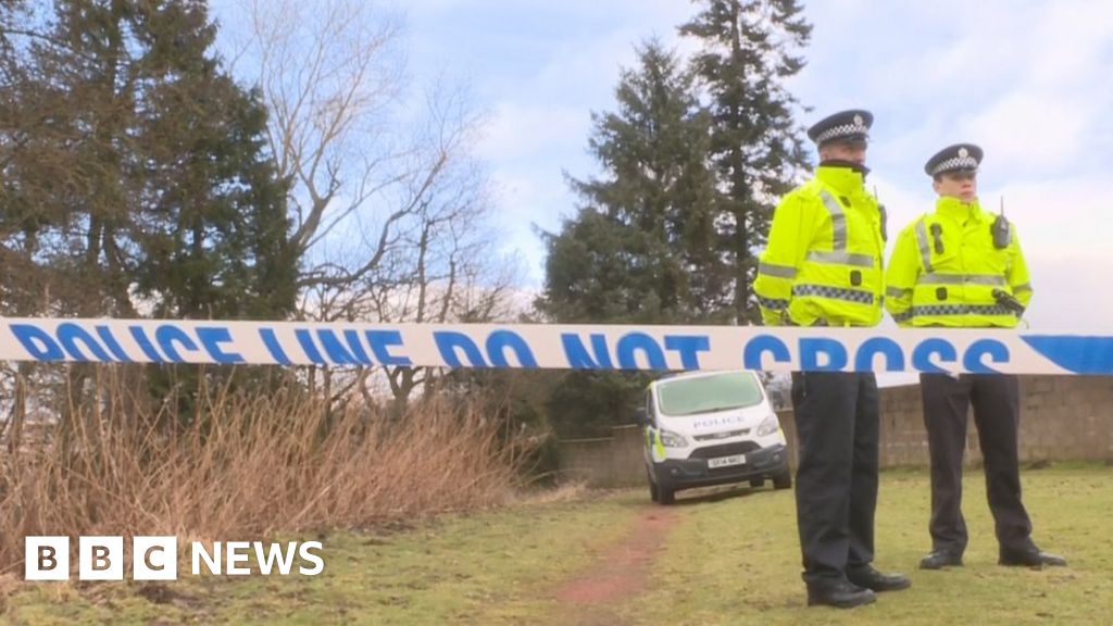 Teen arrested over schoolgirl 'sex attack' - BBC News