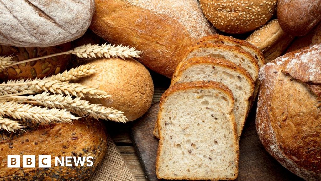 Bread price may rise after dire UK wheat harvest