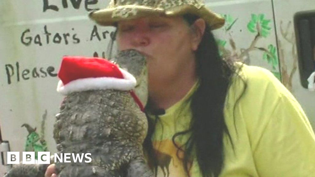 Florida woman told she can keep beloved pet alligator - BBC News