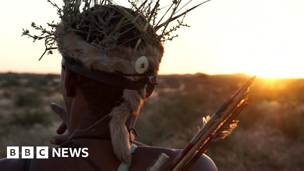 The first South Africans - BBC News