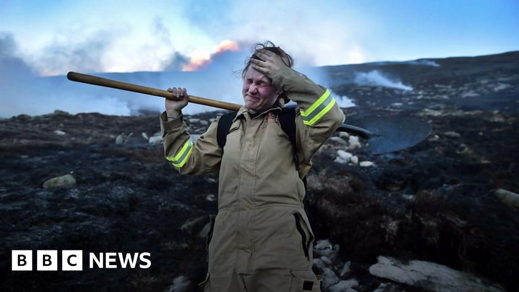 Firefighter amazed by 'crazy' photo reaction