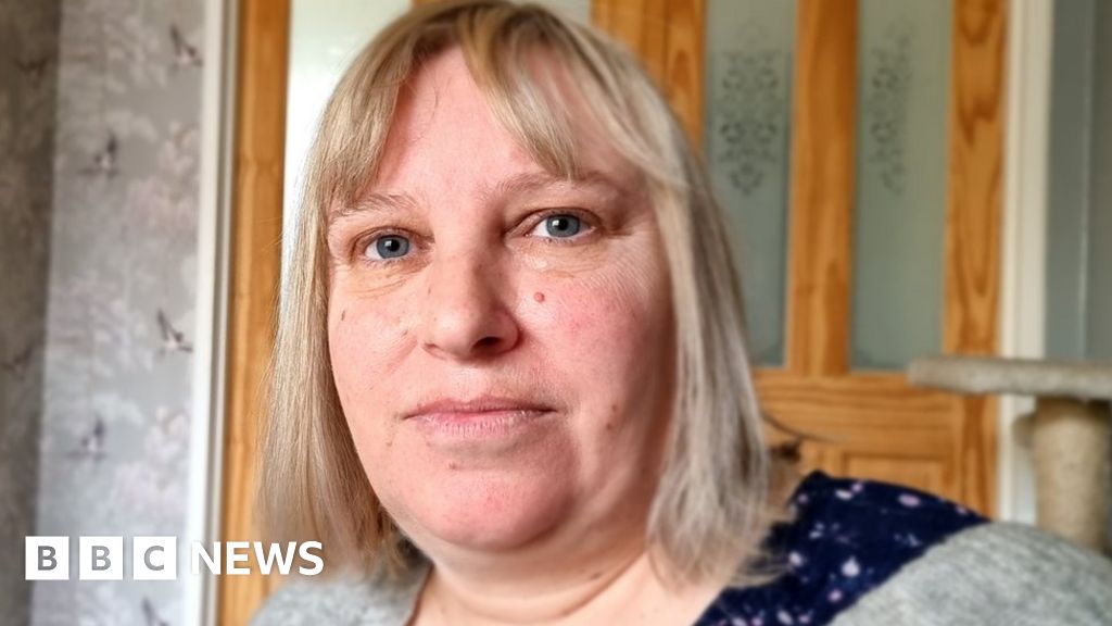 Norwich mother's two-year fight for sons' schooling - BBC News
