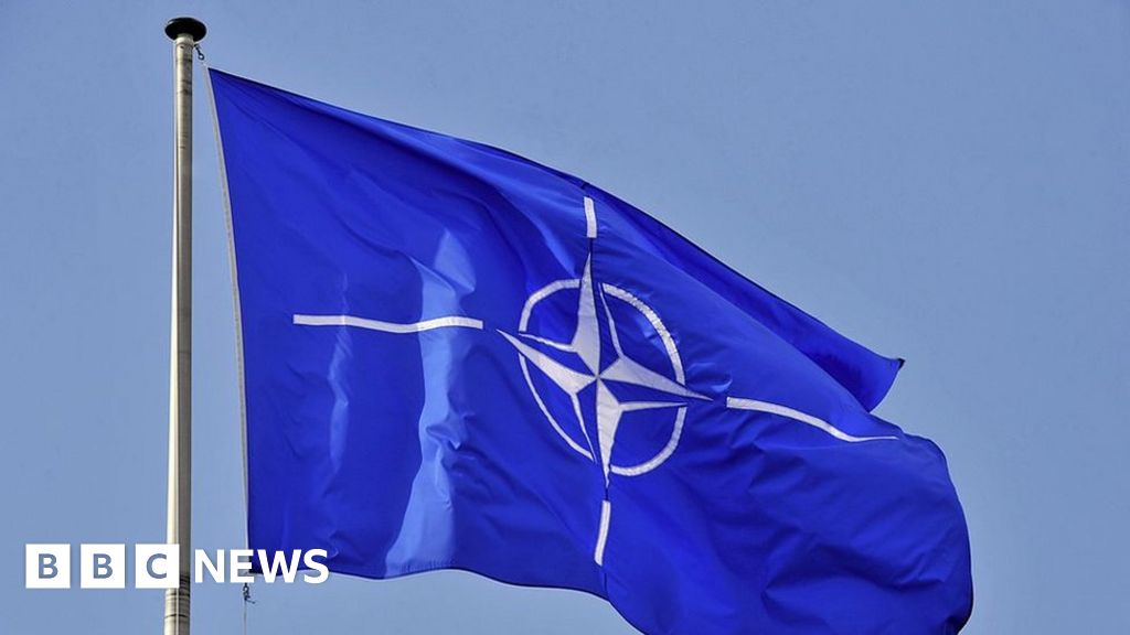 Baltic states fearful of Trump's Nato views - BBC News