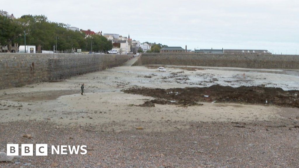 'Bullying' of animal shelter staff condemned