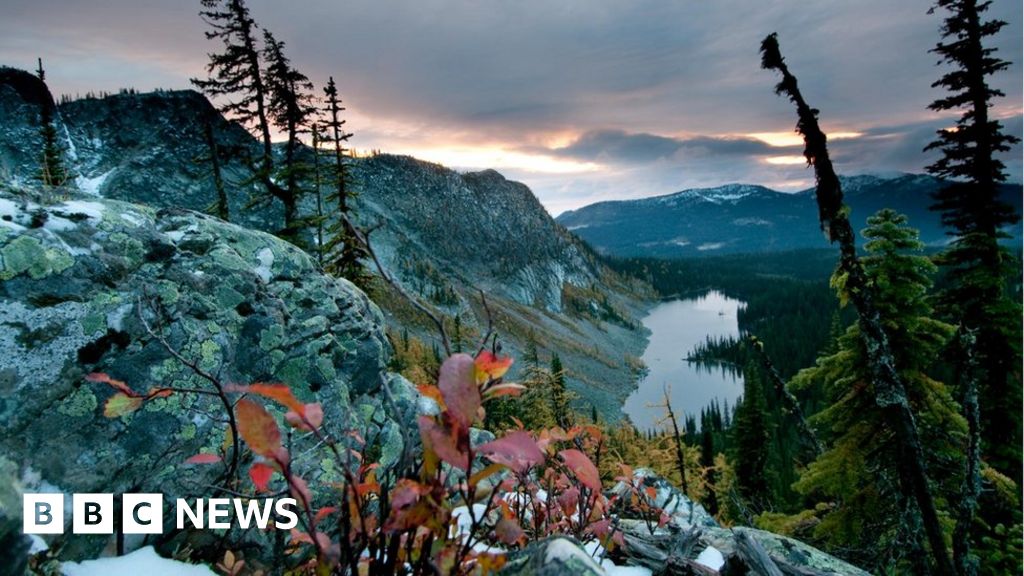 Wildlife preserve in British Columbia gets $11m boost