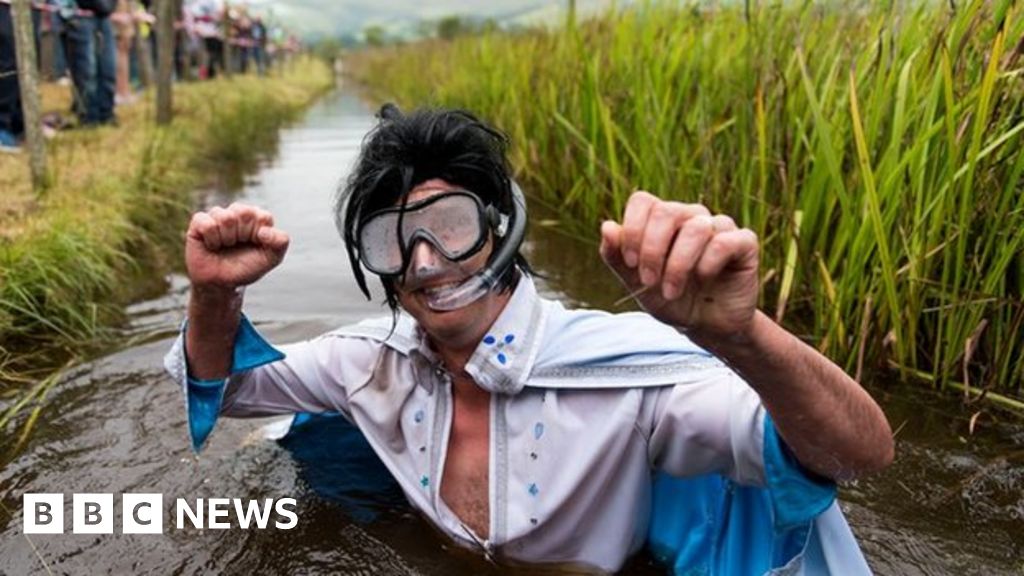 World bog snorkelling championships marks 30th anniversary - BBC News