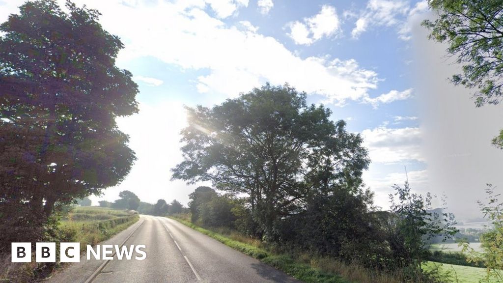 Barnsley crash: Driver killed as L-plate van hits tree - BBC News